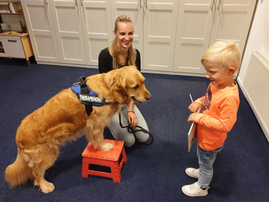 Wat is het effect van een therapiehond tijdens logopedie ...
