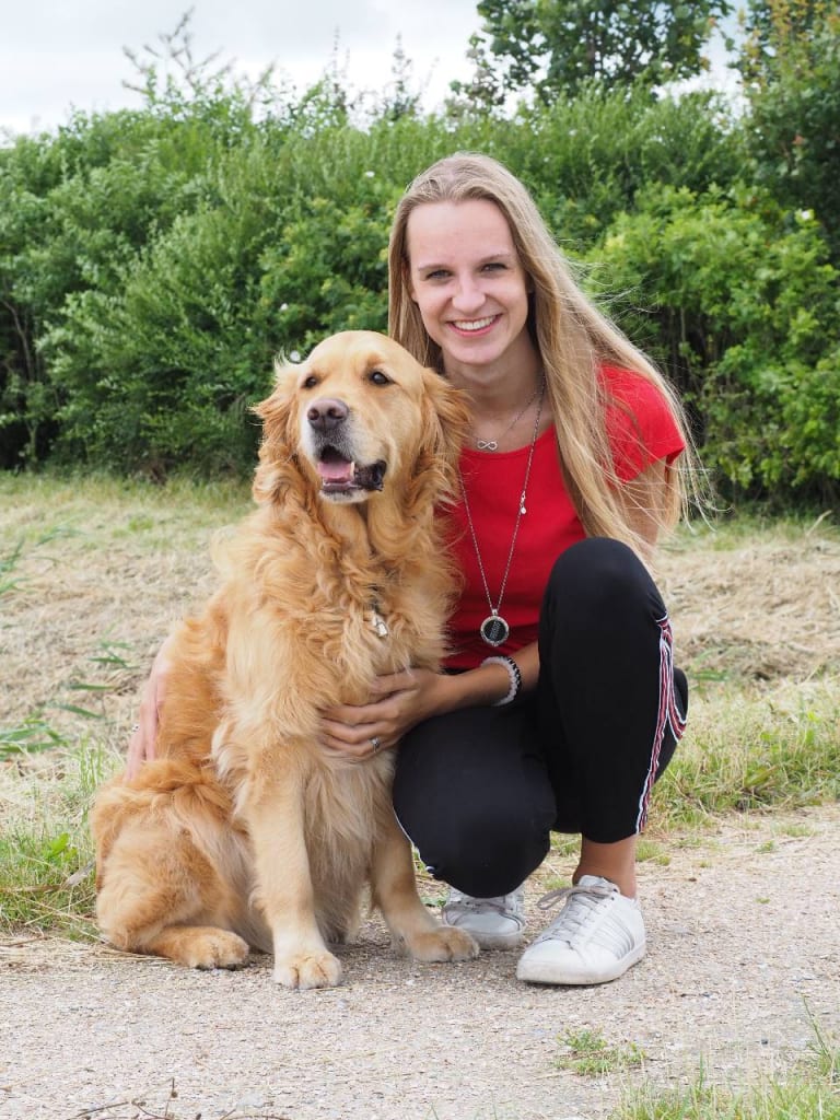 Wat is het effect van een therapiehond tijdens logopedie ...
